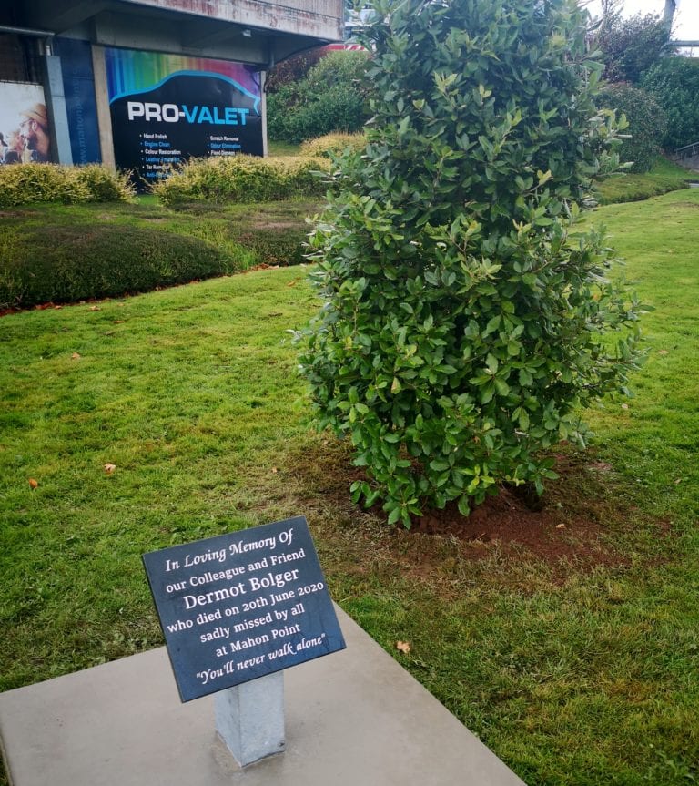 Tree and Plaque | Mahon Point Shopping Centre